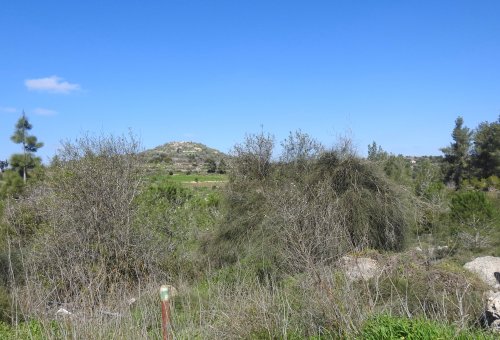 Tel Tzuba (Belmont) | Israel's Good Name