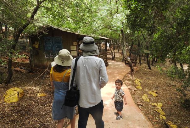 Yodfat Monkey Park | Israel's Good Name